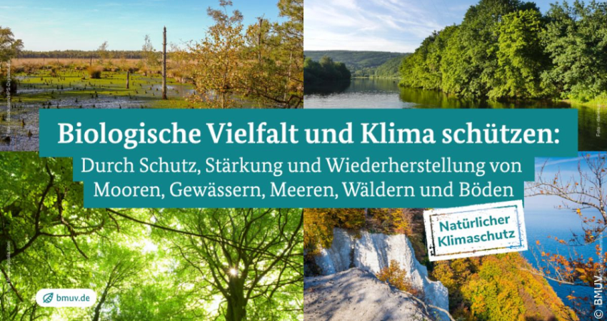 Leuphana: 1. Nachhaltigkeitsforum am 5. Juni 2023 zu "Natürlichem Klimaschutz" - Lüne-Blog